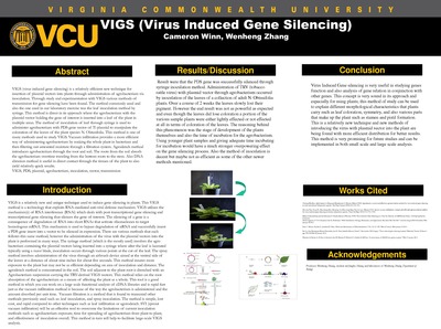 "VIGS (Virus Induced Gene Silencing)" by Cameron Winn