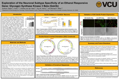 Undergraduate Research Posters - VCU Scholars Compass - Virginia ...